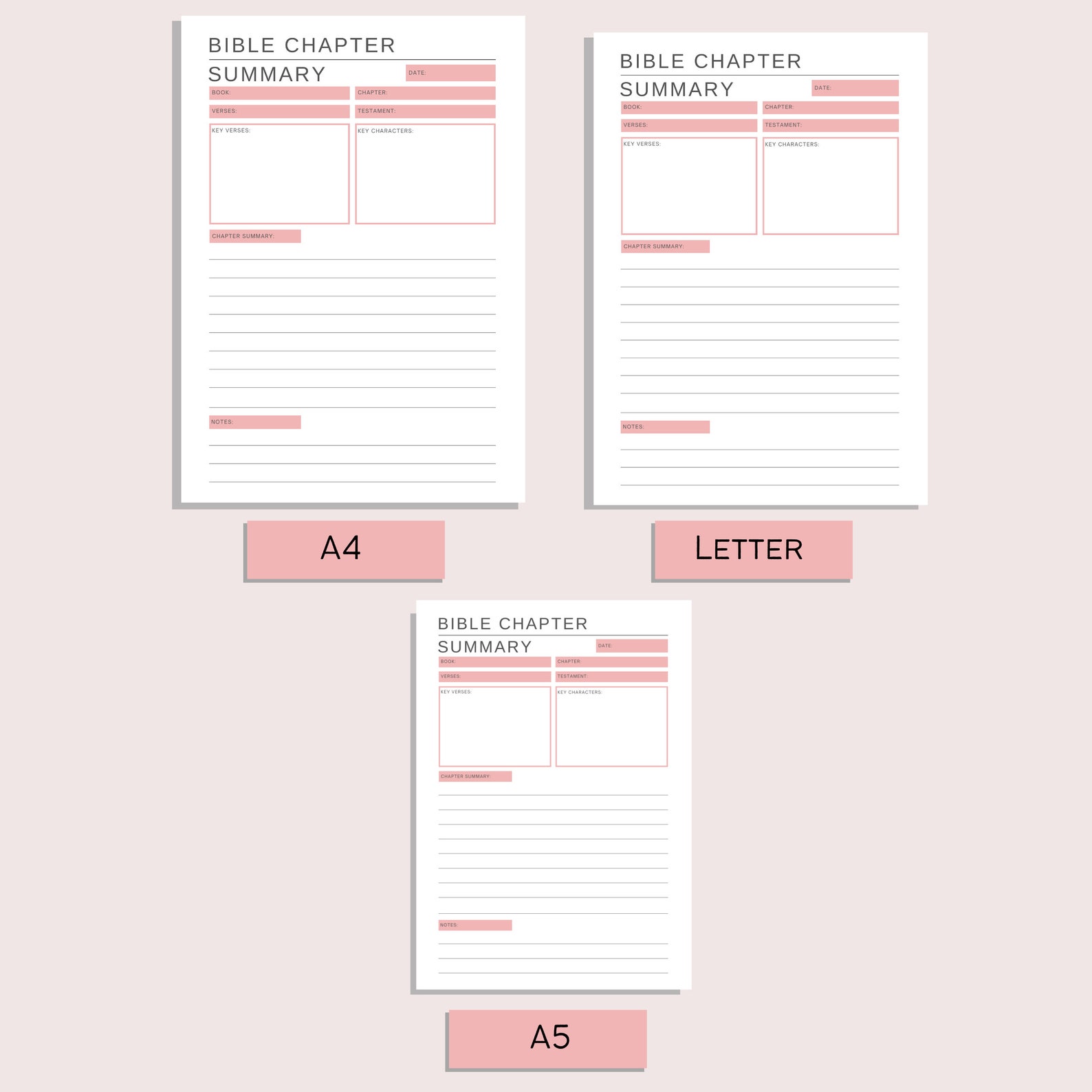Bible Chapter Summary | Bible Study Journal Sheet | Chapter Pages ...