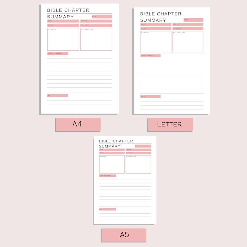 Bible Chapter Summary | Bible Study Journal Sheet | Chapter Pages ...