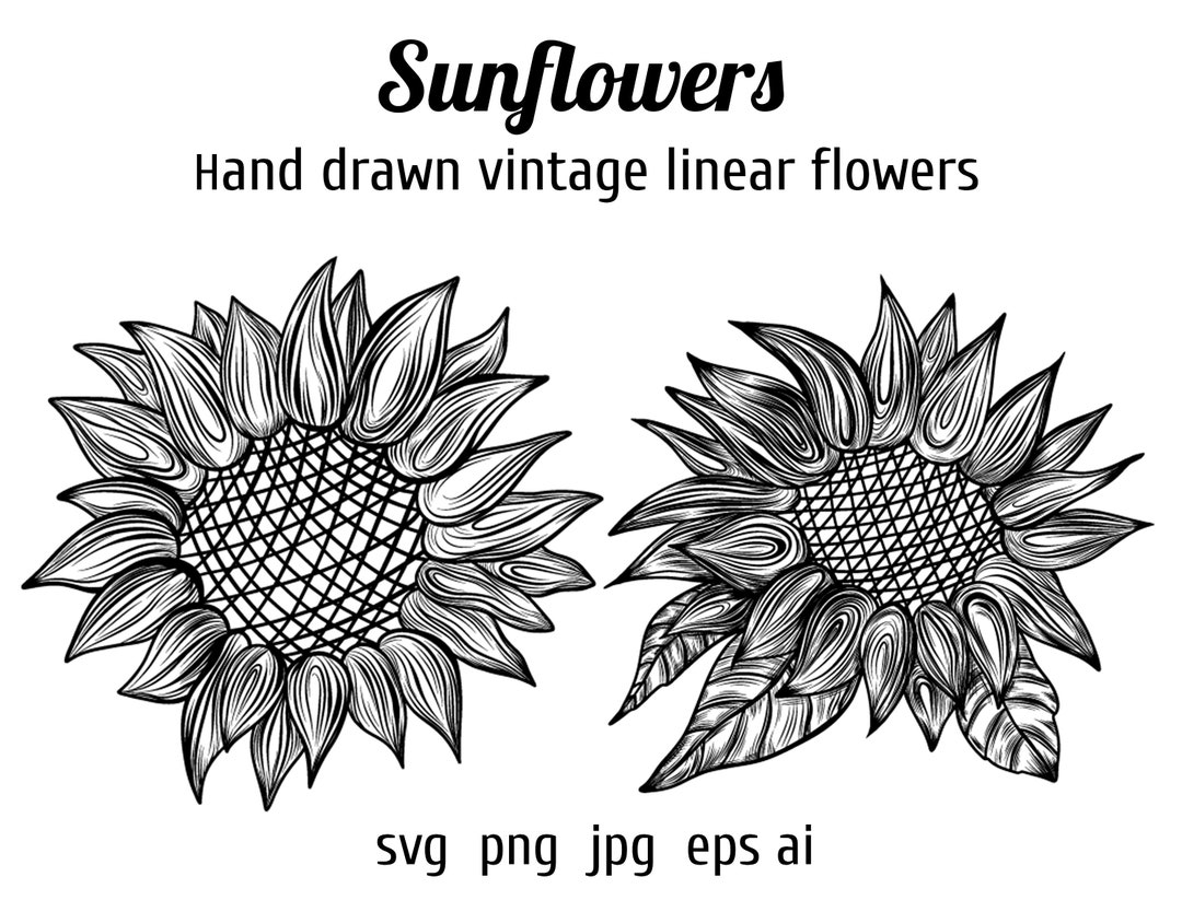 Sunflowers Line Art SVG, Floral Svg, Sunflowers Clipart, Sunflower PNG ...
