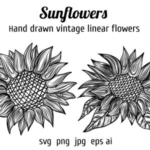 Sunflowers Line Art SVG, Floral Svg, Sunflowers Clipart, Sunflower PNG, Linear Flowers, Svg ...