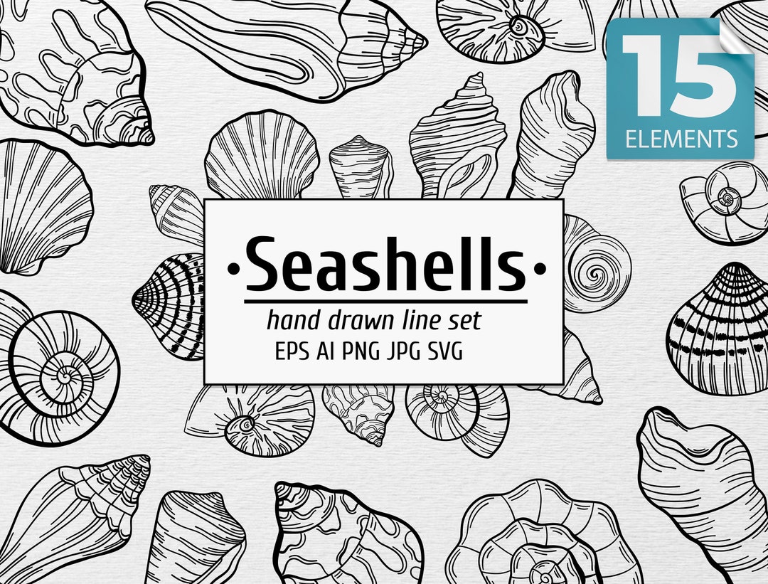 Sea Shell Line Set SVG, Sea Life SVG, Sea Shell Cut Files, Sea Shell ...