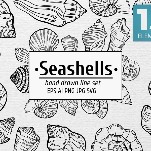 Sea Shell Svg - Etsy