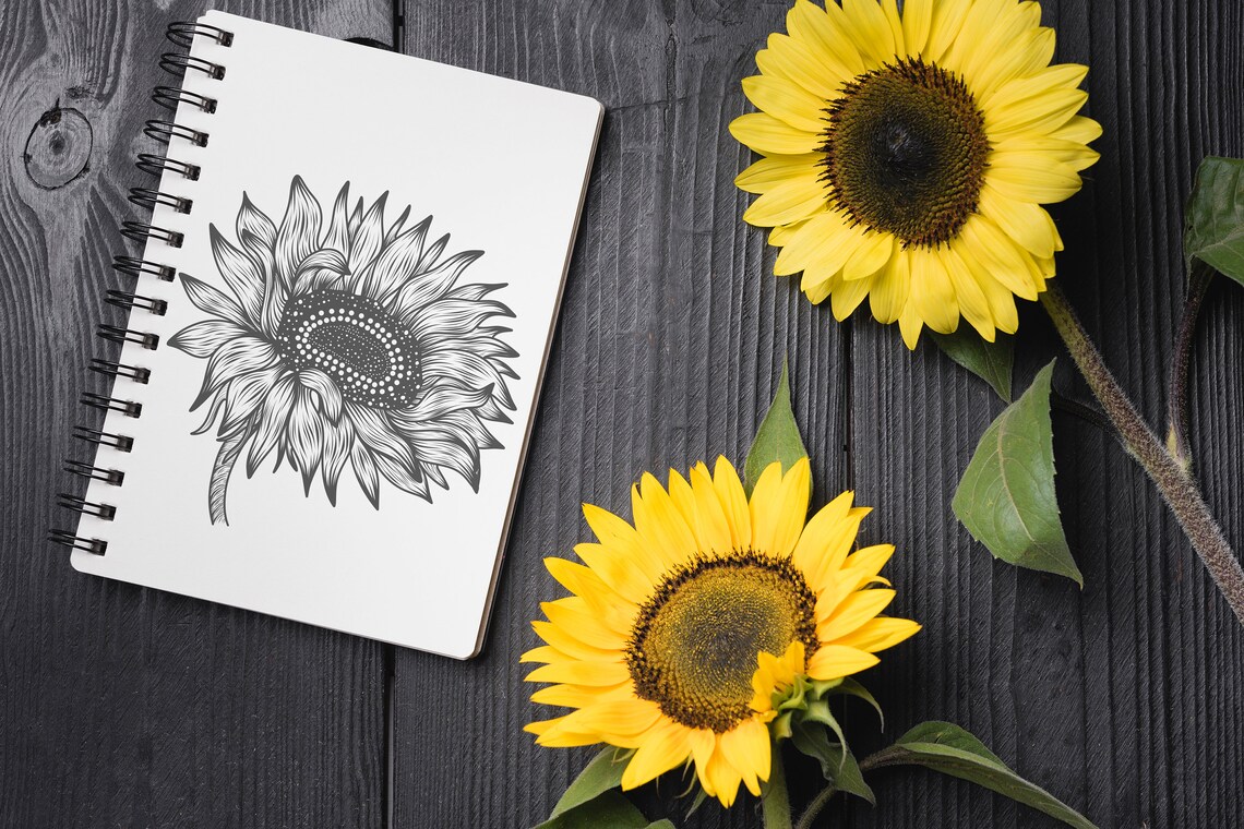 Sunflowers SVG, Sunflowers Clipart SVG, Sunflowers Line Art SVG ...