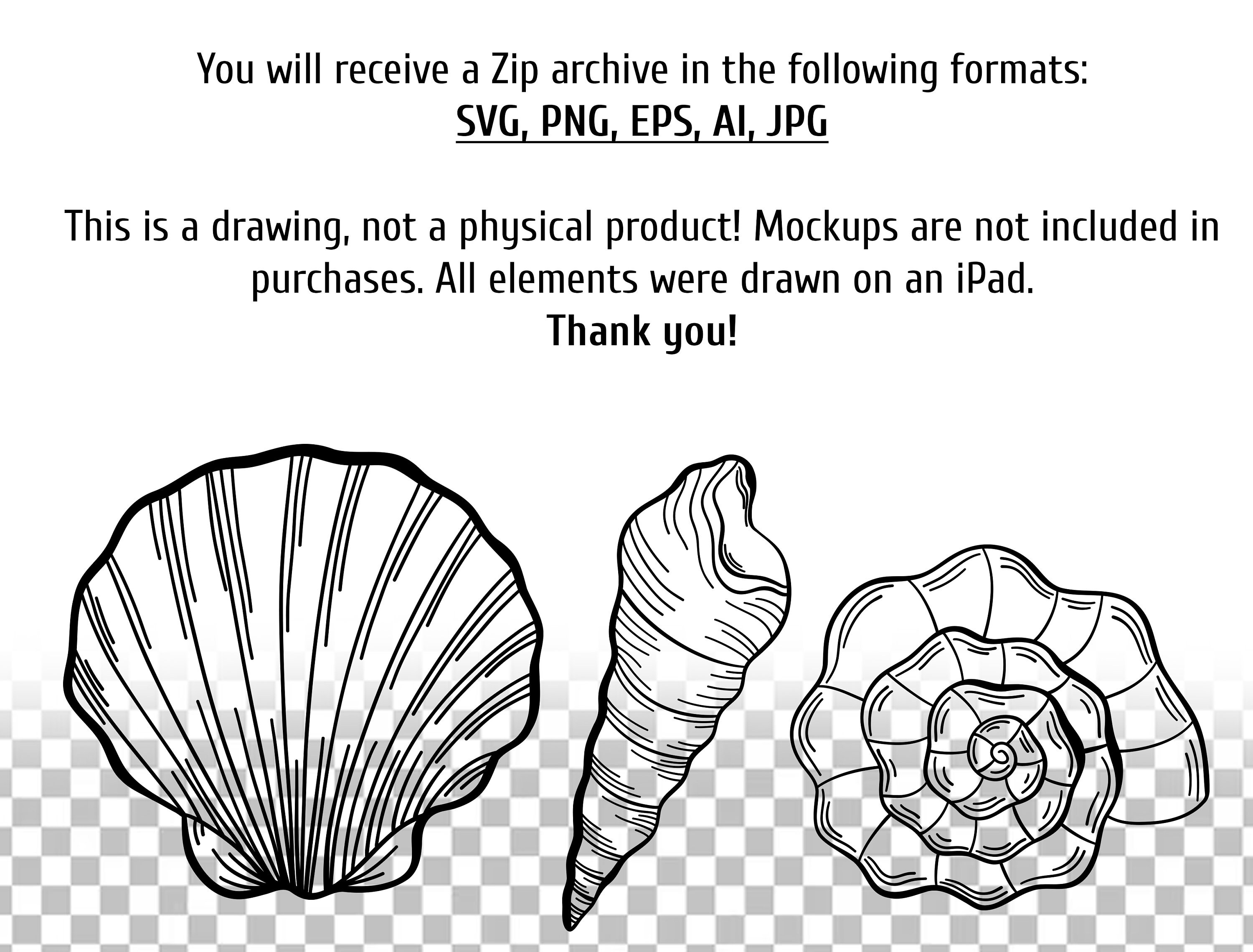 Sea Shell Line Set SVG, Sea Life SVG, Sea Shell Cut Files, Sea Shell ...