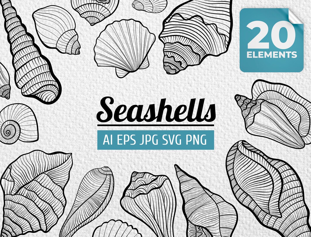 Sea Shell SVG, Sea Shell Cricut, Sea Shell Cut Files, Sea Shell ...