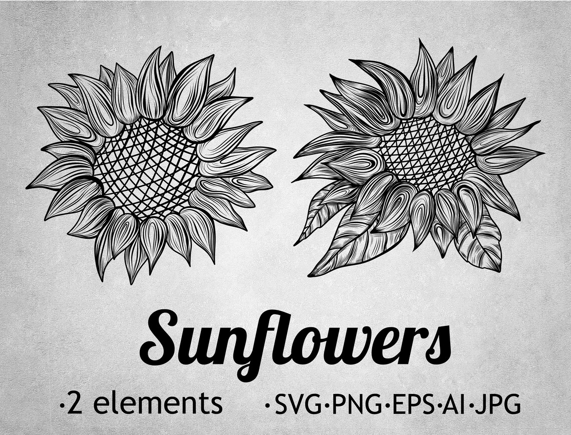 Sunflowers Line Art SVG, Floral Svg, Sunflowers Clipart, Sunflower PNG ...