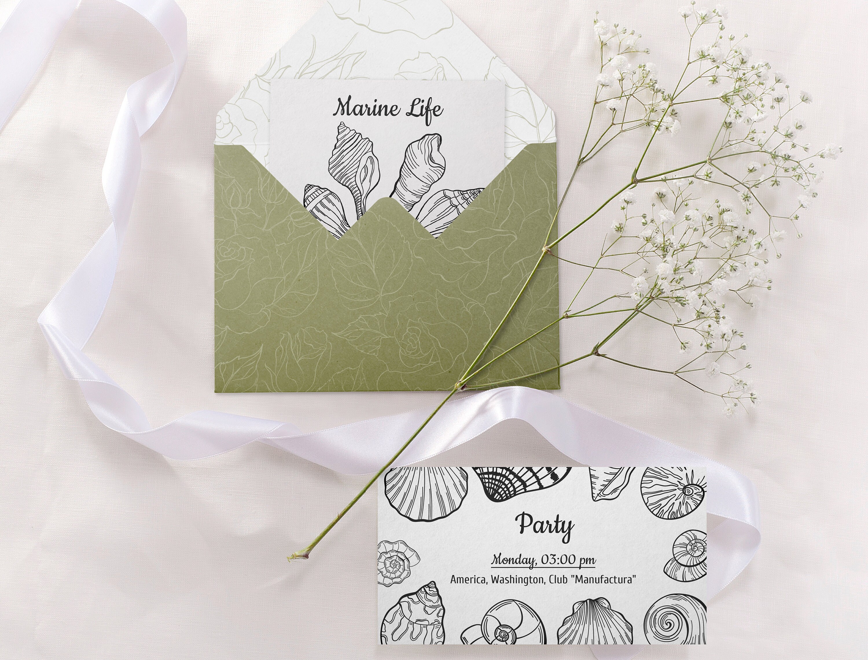 Sea Shell Line Set SVG, Sea Life SVG, Sea Shell Cut Files, Sea Shell ...