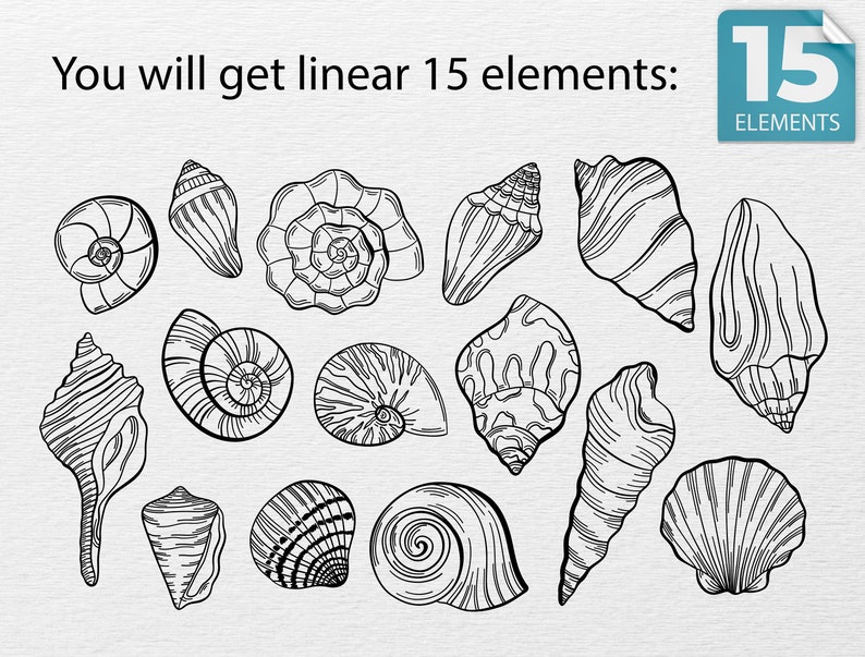 Sea Shell Line Set SVG, Sea Life SVG, Sea Shell Cut Files, Sea Shell ...