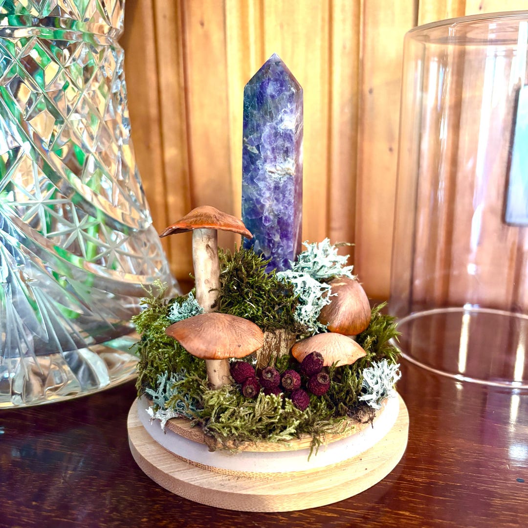 Toadstool and Crystal Diorama, Natural Magic Gift - Etsy UK