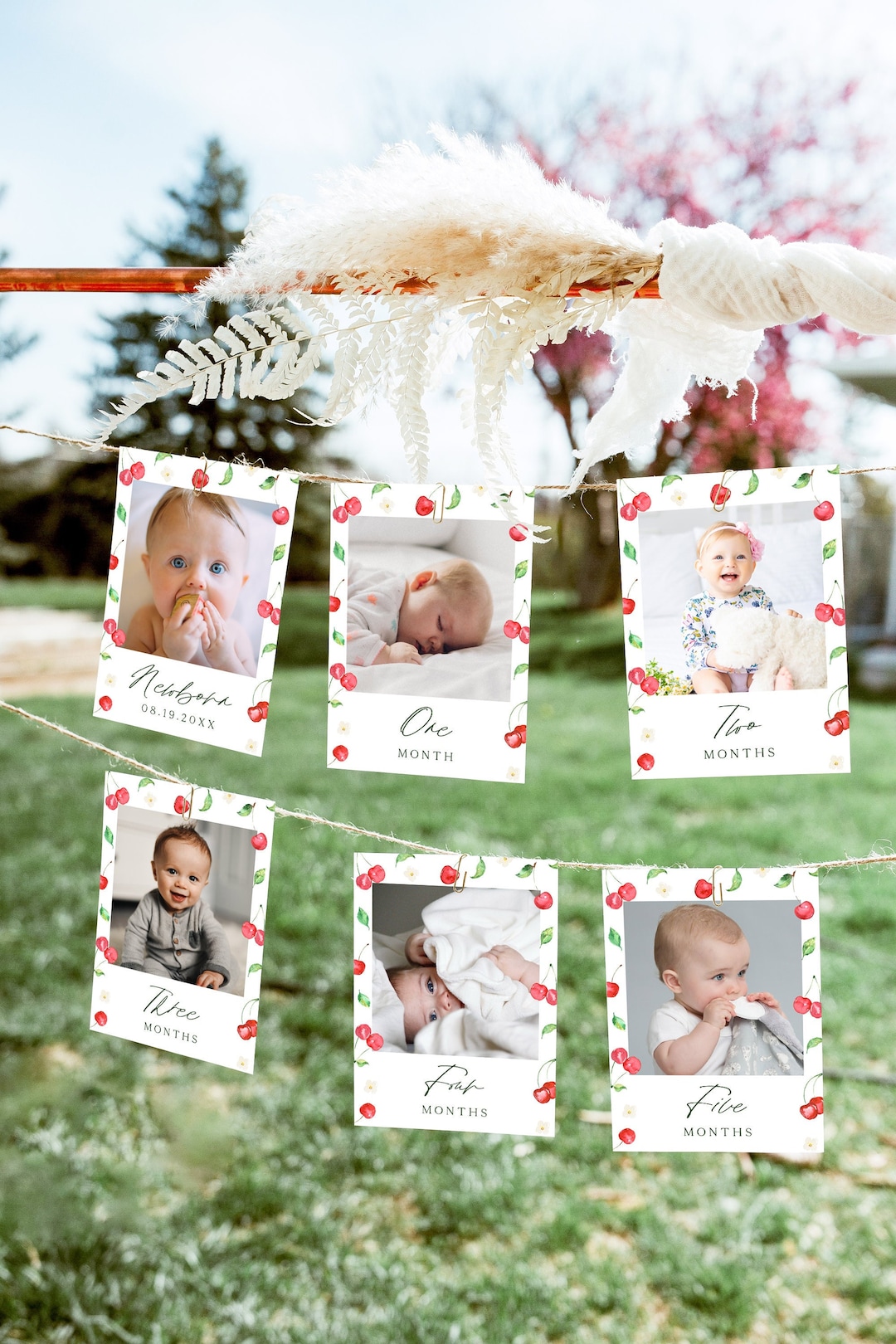 Editable Cherry Monthly Milestone Photo Cards Birthday Banner Berry ...