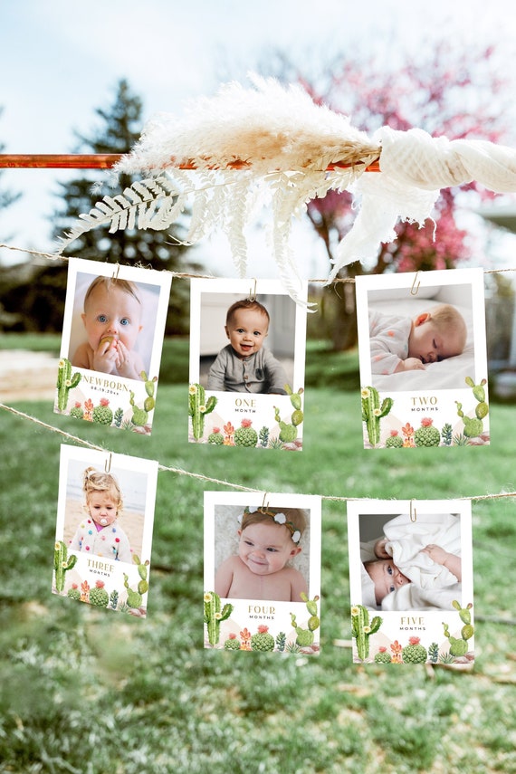 Cactus Monthly Milestone Photo Cards Birthday Banner Birthday - Etsy