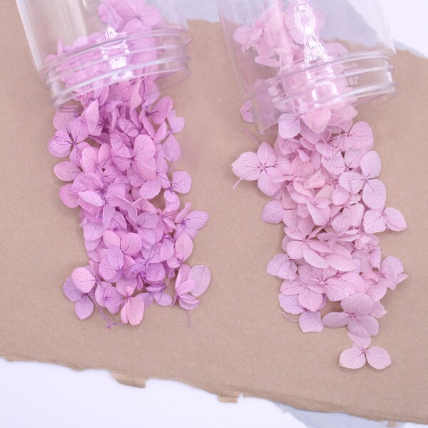 Dried Hydrangeas - Etsy
