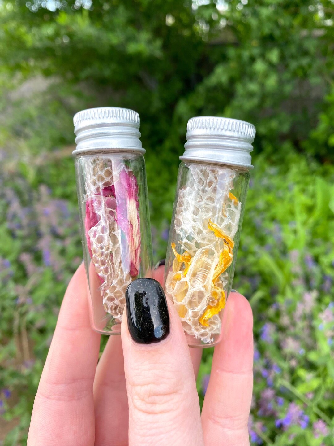 Floral Snake Shed Curio Jars Large - Etsy
