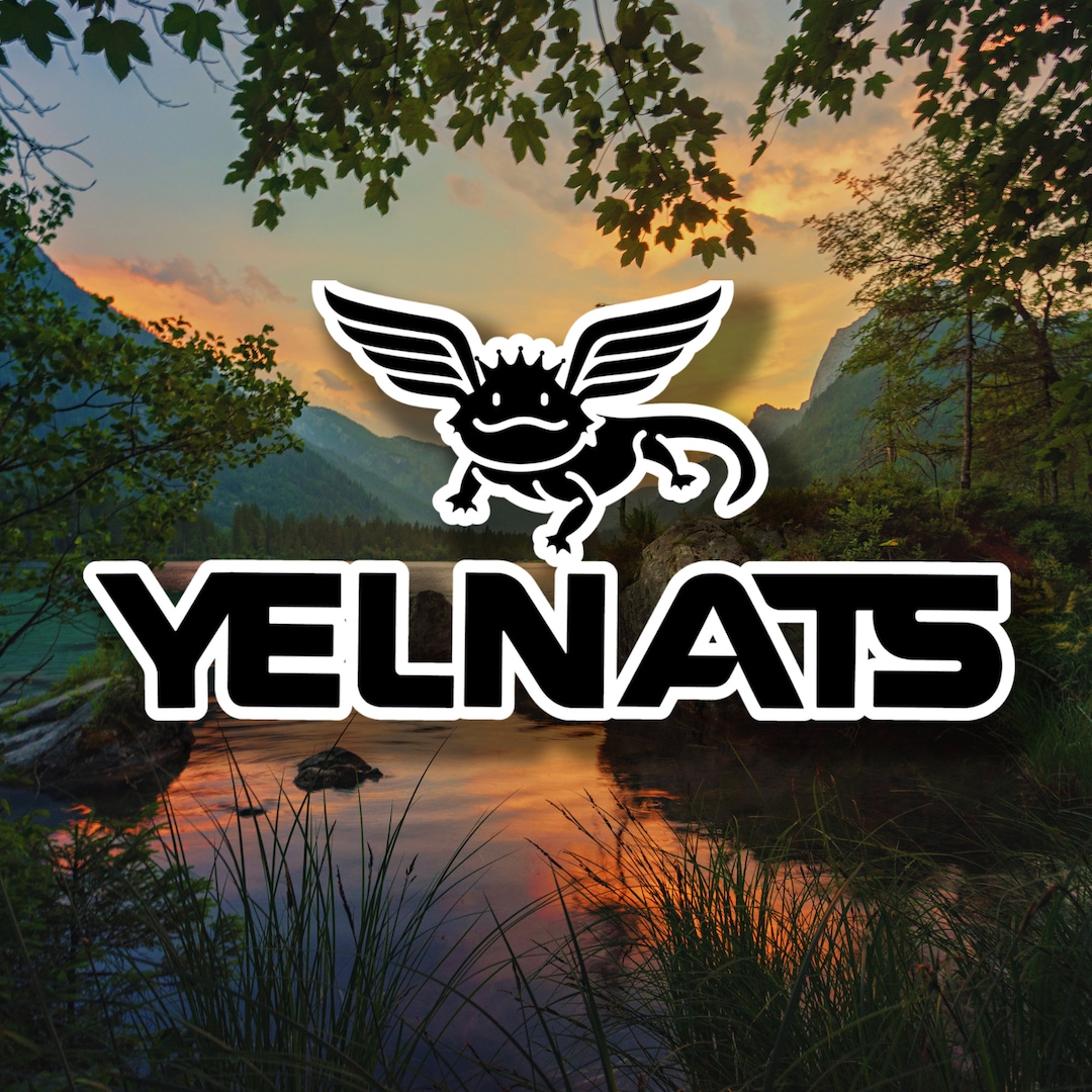 YELNATS Sticker, STANLEY Tumbler Decal, Water Bottle Sticker - Etsy