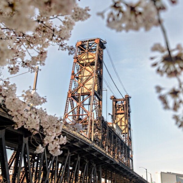 Portland Steel Bridge Art - Etsy