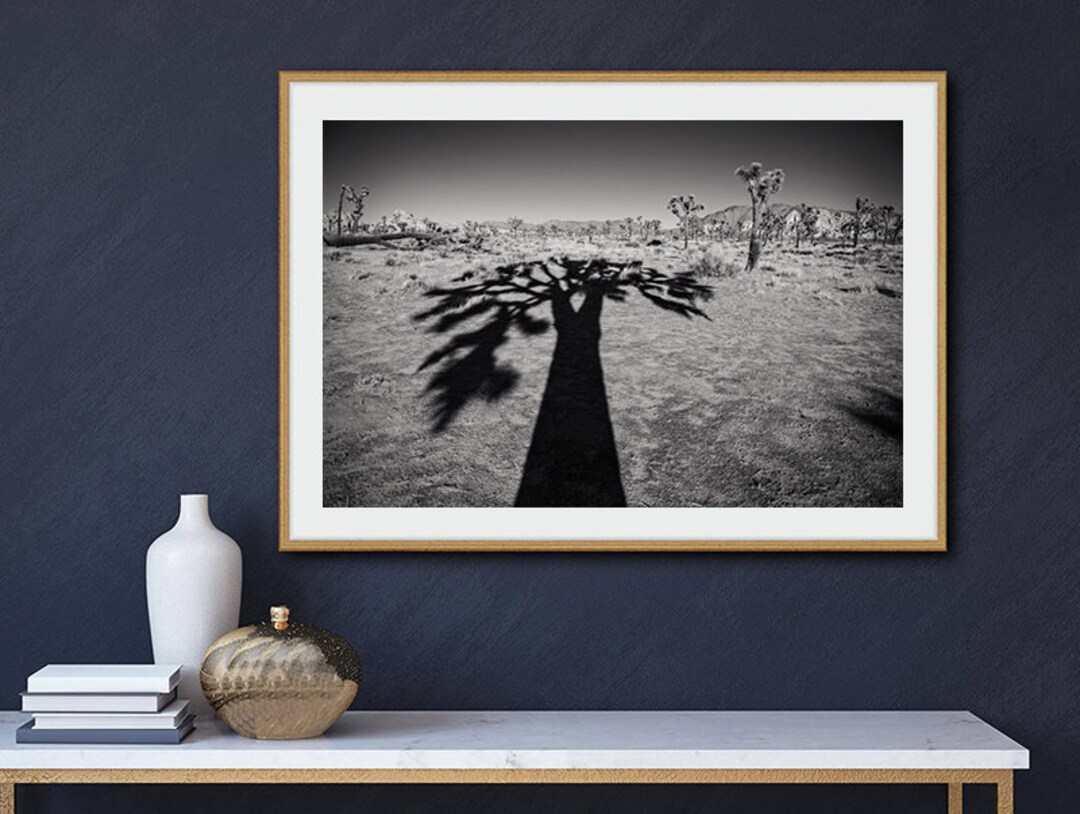 Joshua Tree Long Shadow Black and White – Joshua Tree National Park ...