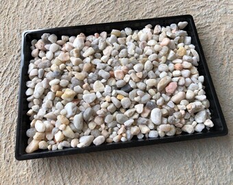 Bonsai Drip Tray - Etsy