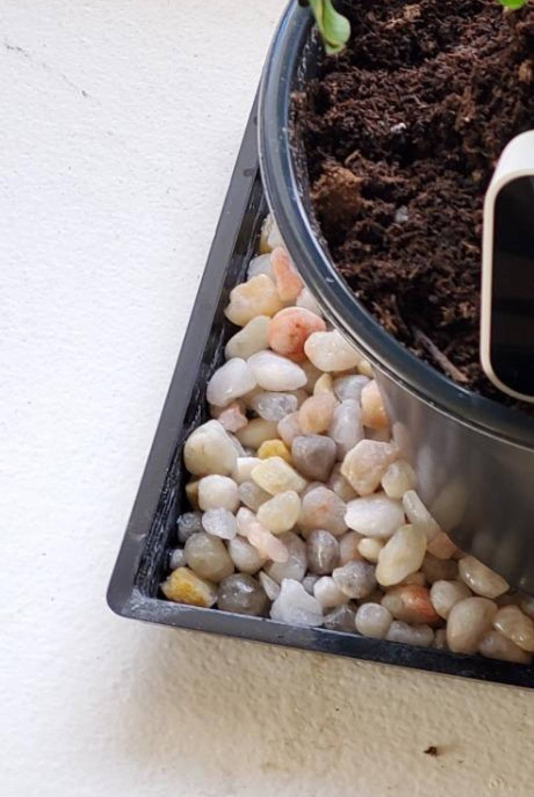 13" Humidity Drip Tray With Decorative Rocks Bonsai Plant Succulent - Etsy