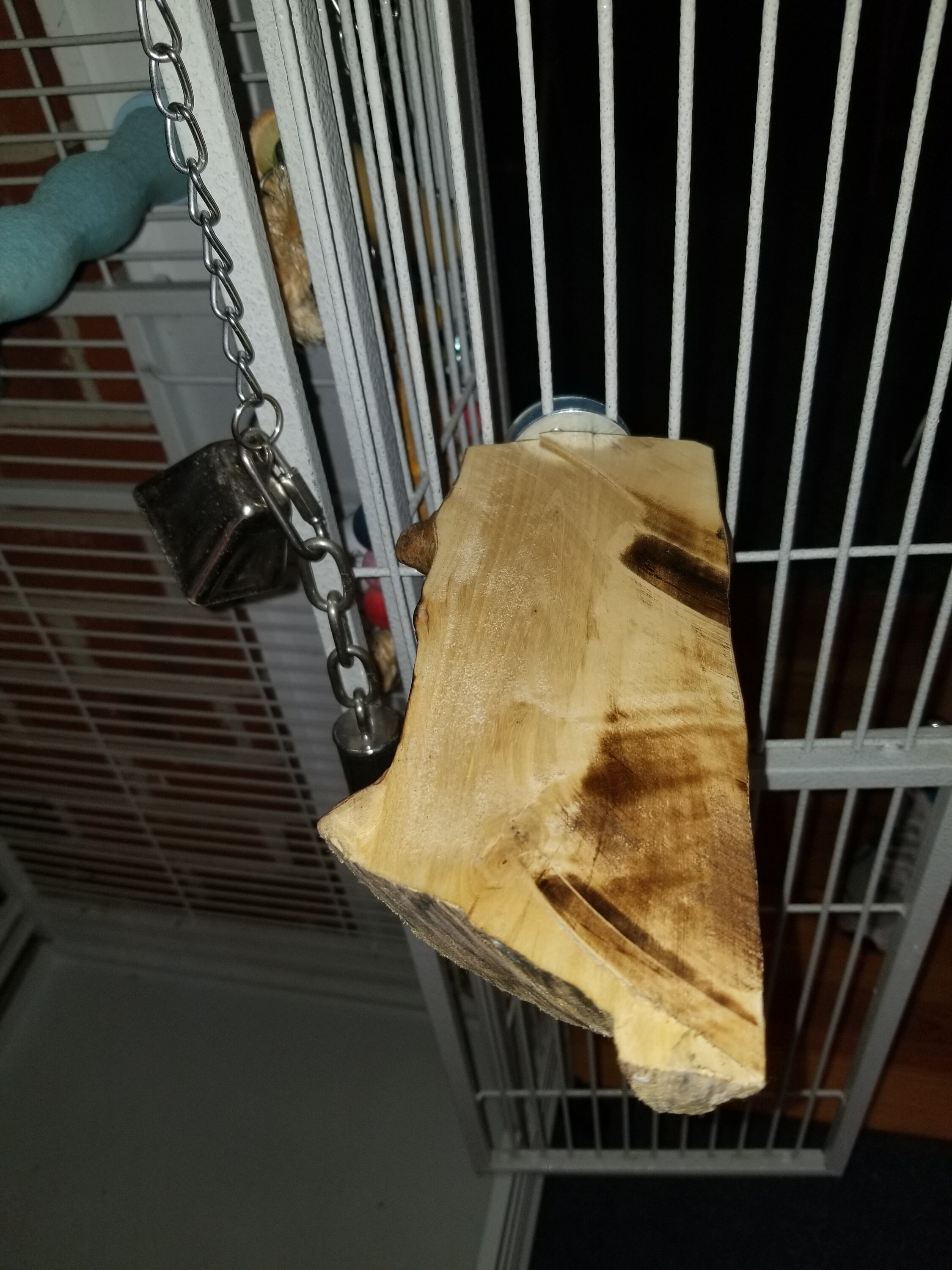 Custom Perches - Natural Wood. Made to Your Design - Etsy