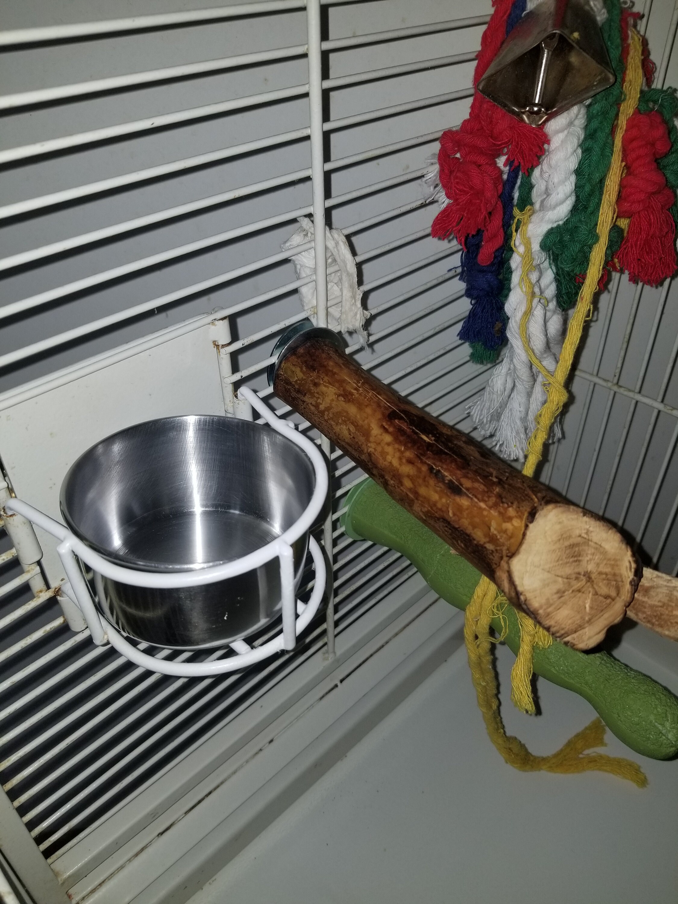 Custom Perches - Natural Wood. Made to Your Design - Etsy