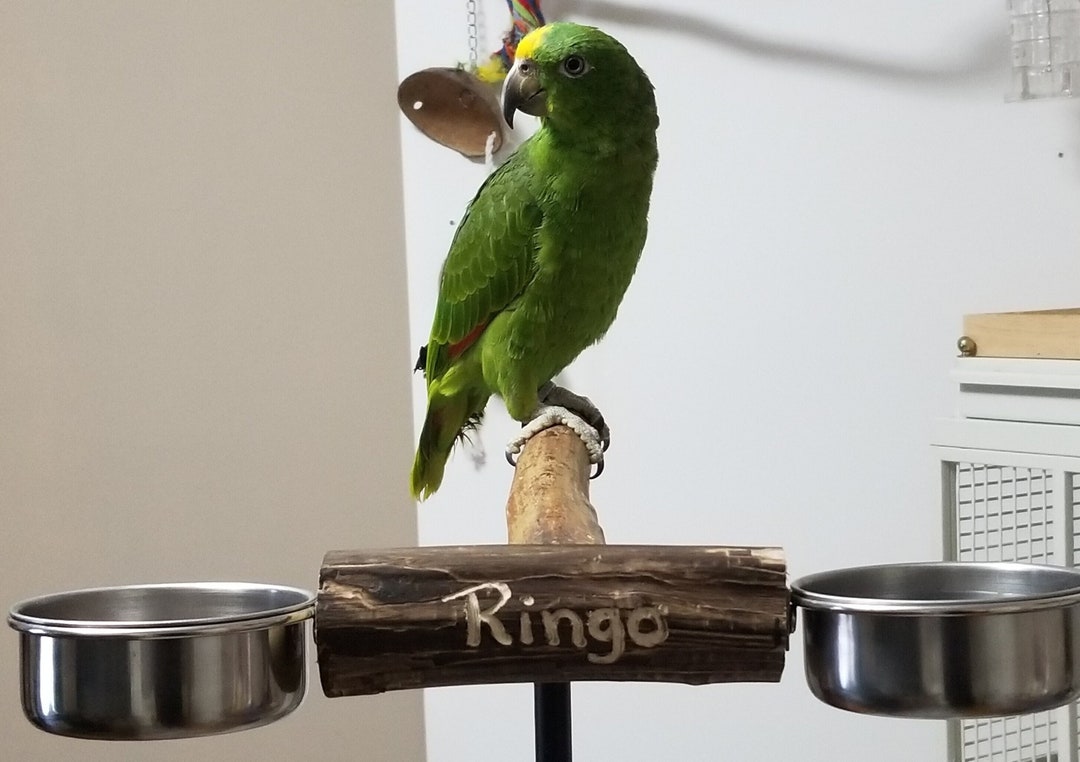 Personalized Natural Wood Perches - Etsy