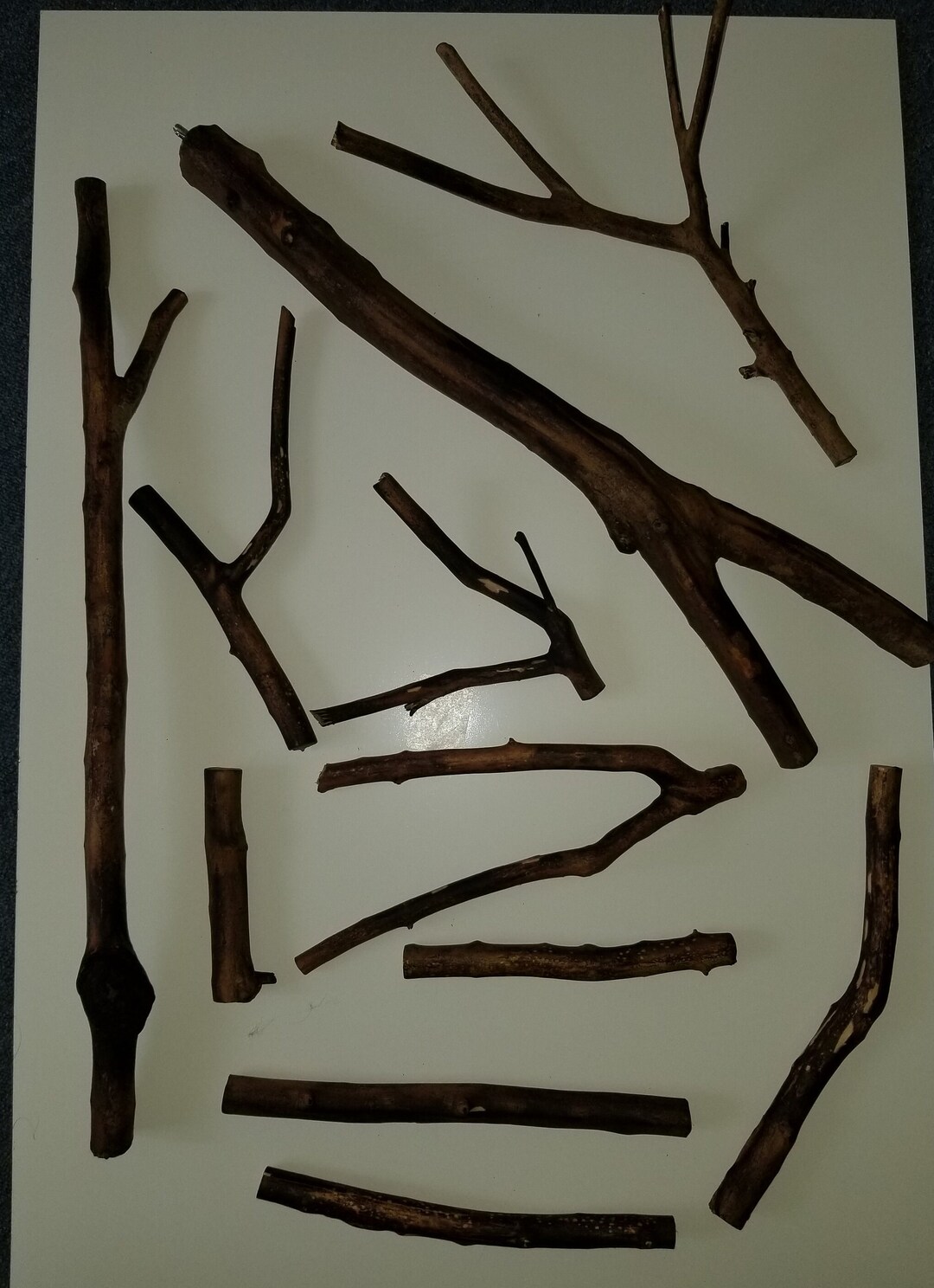 Custom Perches - Natural Wood. Made to Your Design - Etsy