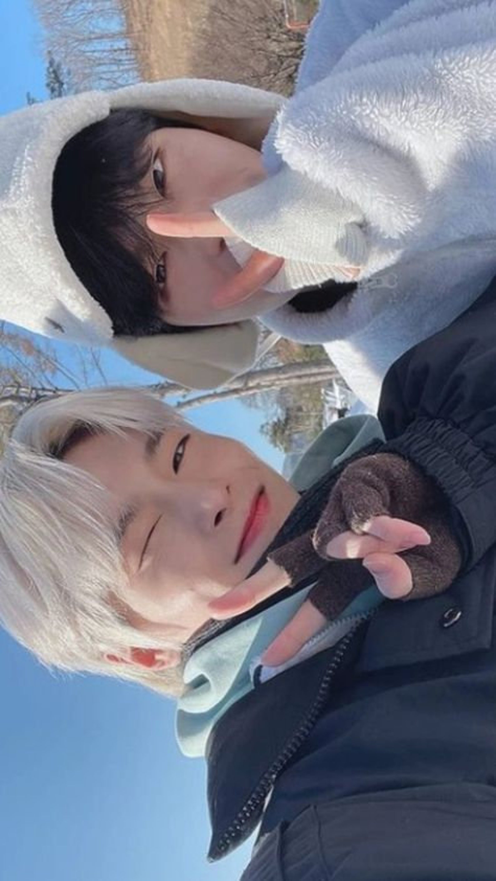 Stray Kids Wall Collage Kit [digital] - Etsy