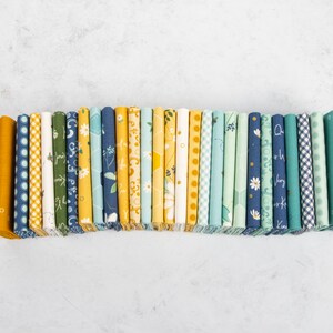 Daisy Fields Flying in Squares Quilt Kit | Daisy Fields by Beverly ...