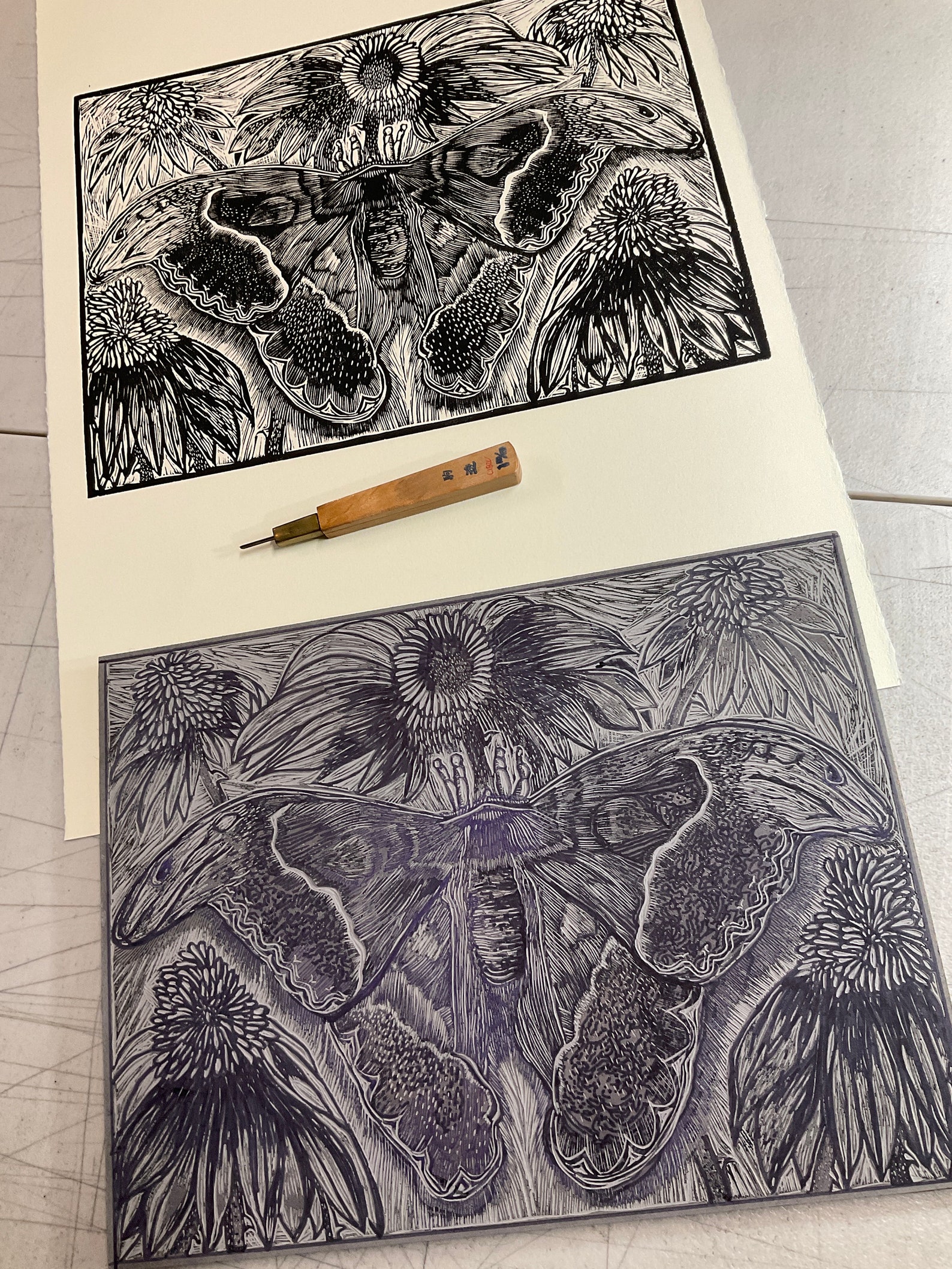 Atlas Moth - Etsy