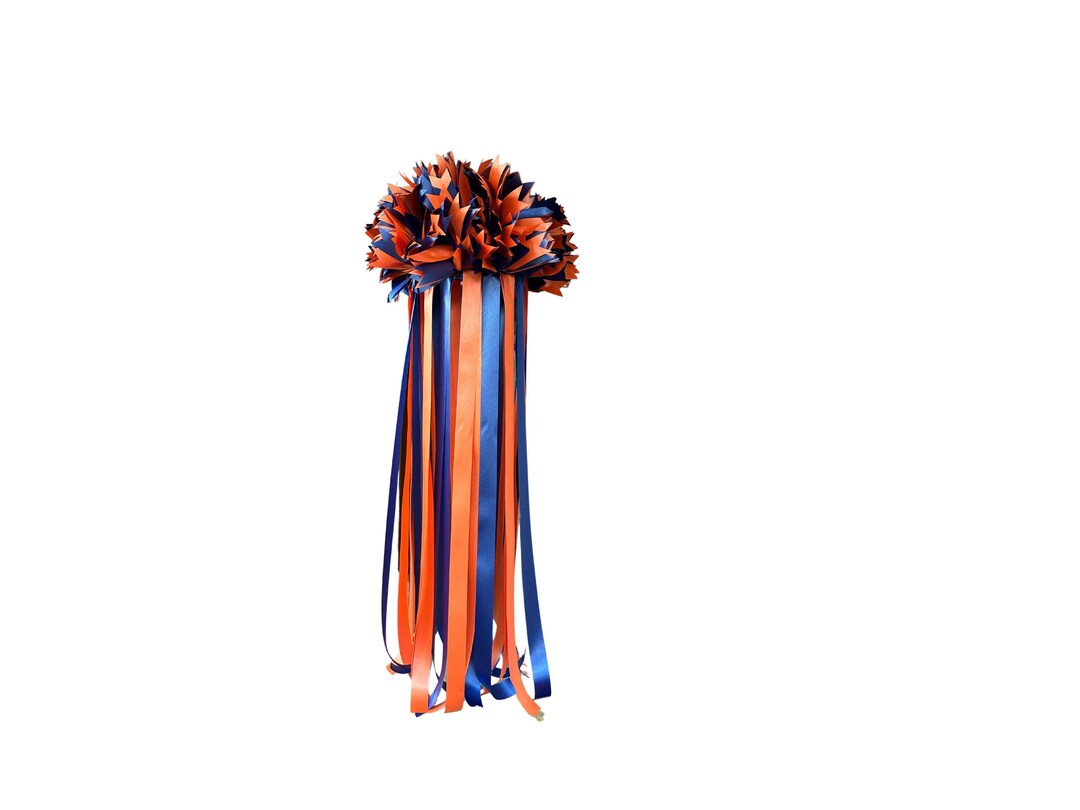 UTSA Football Windsock, Roadrunner Decor, Tailgate Porch Windsock, Game ...