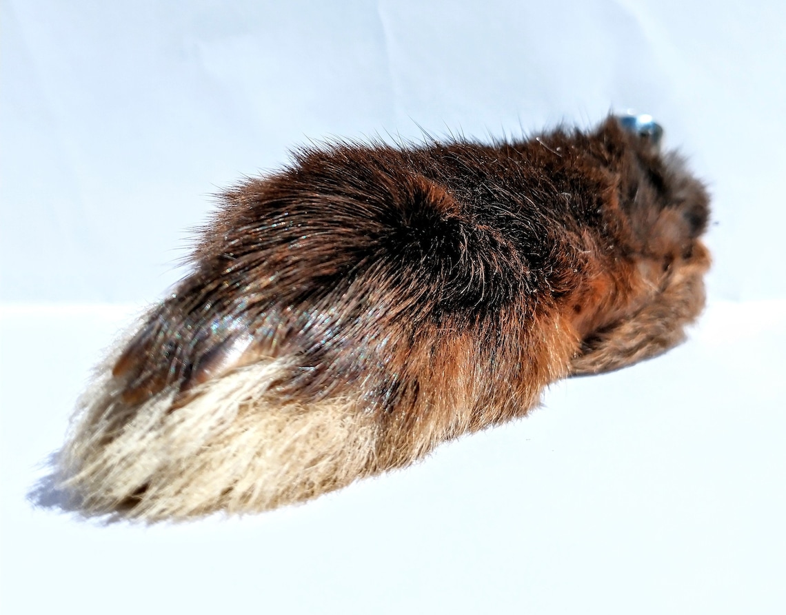 Genuine Lucky Rabbit Foot Black | Etsy