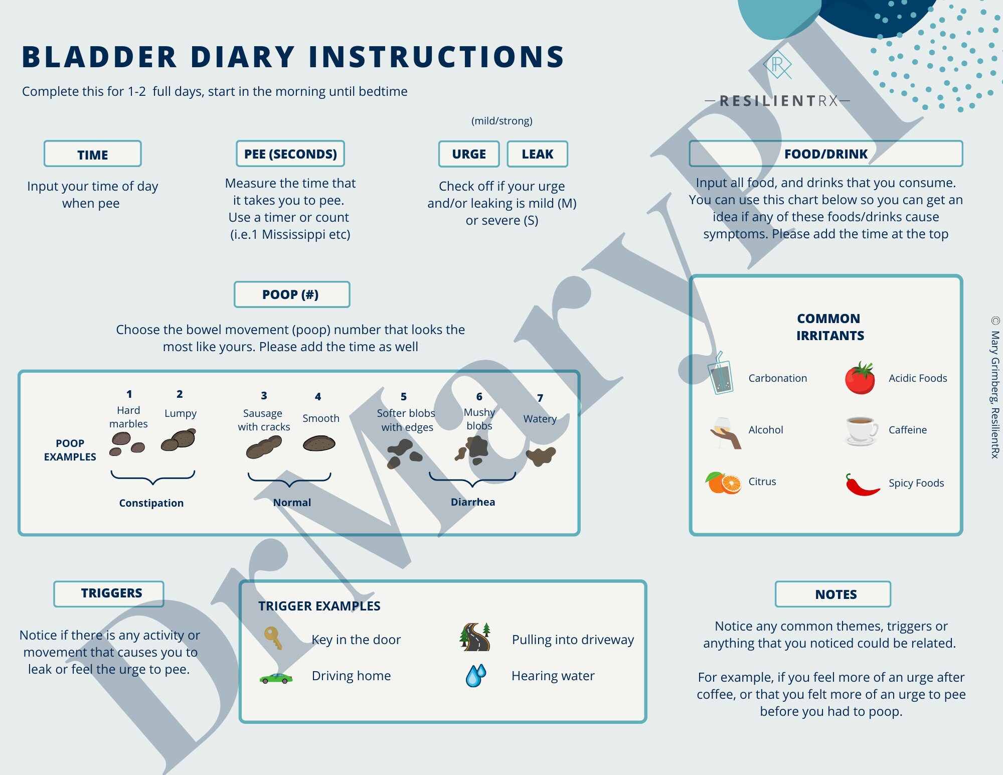 Bladder Tracker Diary *digital Download* - Etsy