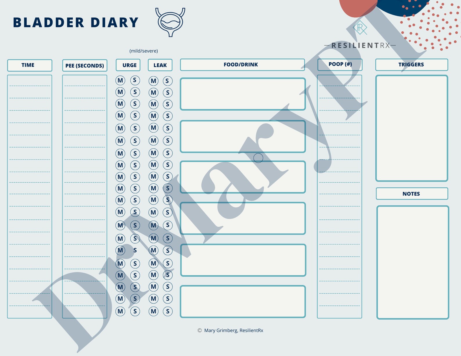 Bladder Tracker Diary *digital Download* - Etsy