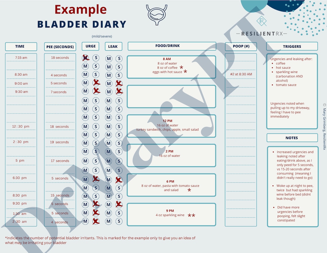 Bladder Tracker Diary *digital Download* - Etsy