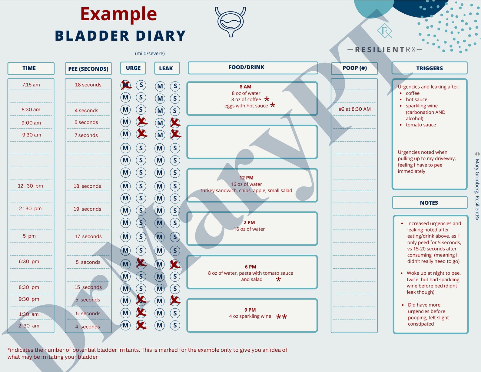 Bladder Tracker Diary *digital Download* - Etsy
