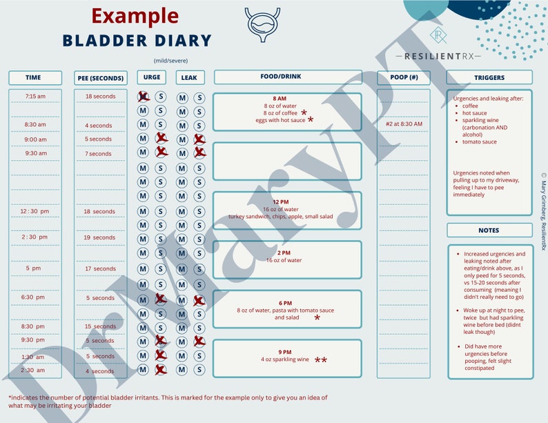 Bladder Tracker Diary *digital Download* - Etsy