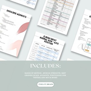 Occupational Therapy Kinesiology Bundle by OT Brain, Digital Download ...