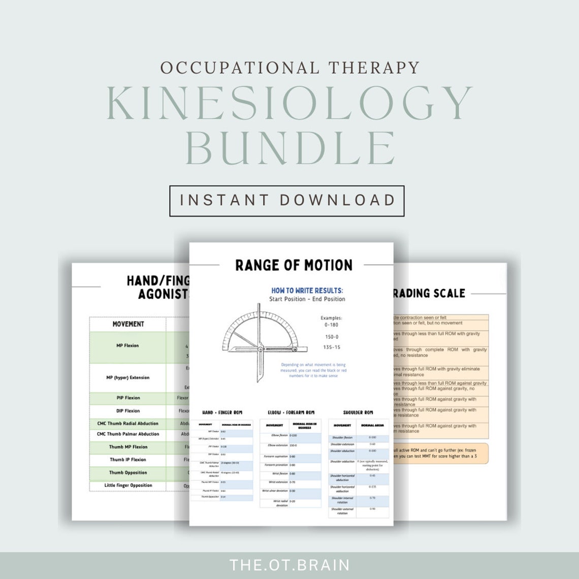 Occupational Therapy Kinesiology Bundle by OT Brain, Digital Download ...