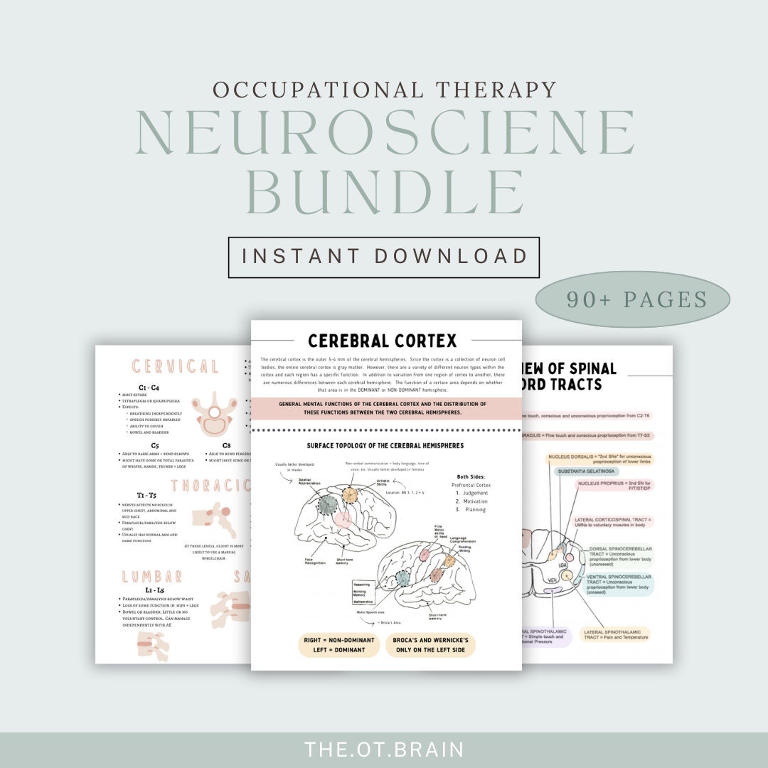 Occupational Therapy Neuroscience Bundle by OT Brain, Digital Download ...