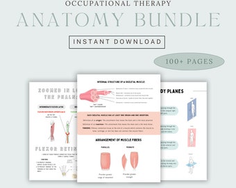 Occupational Therapy Acute Care/adult Bundle by OT Brain, Digital ...
