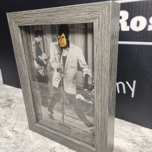 Elvis Man-faced Stink Bug (catacanthus Incarnatus) - Etsy