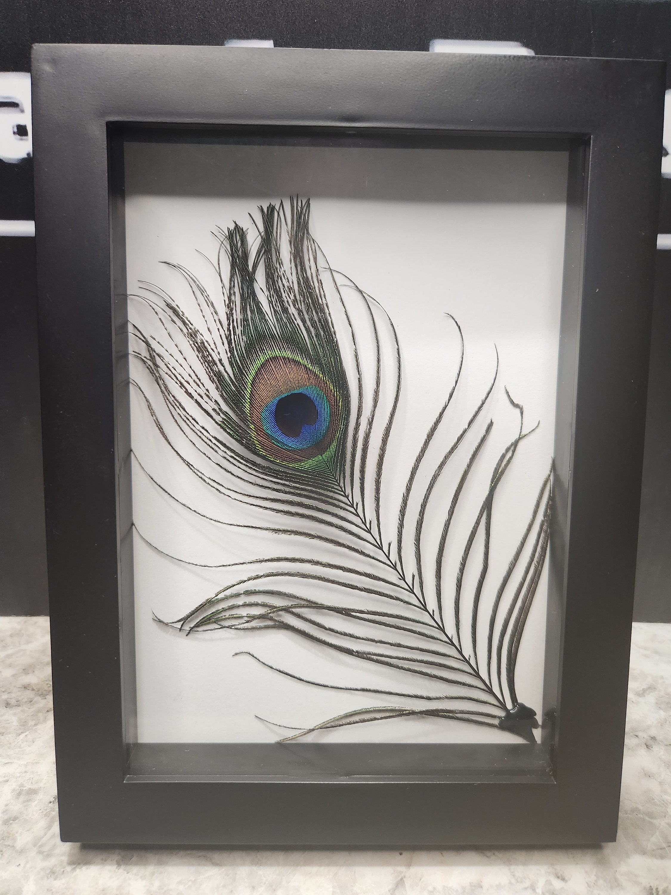 Peacock Feather Frame