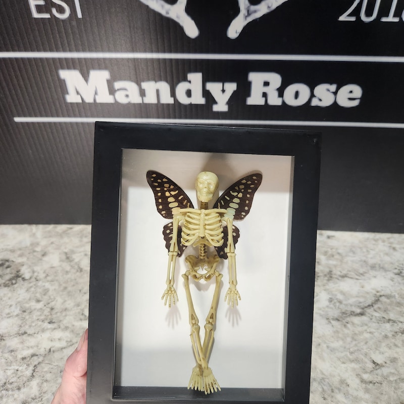 Fairy Skeleton - Etsy