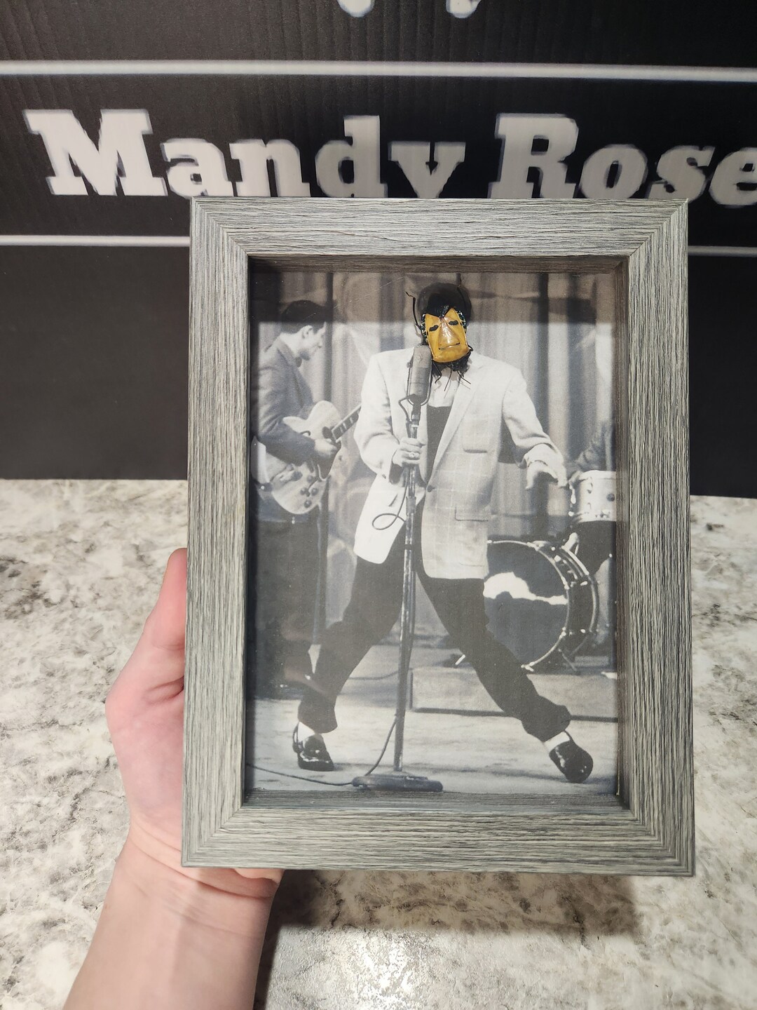 Elvis Man-faced Stink Bug (catacanthus Incarnatus) - Etsy