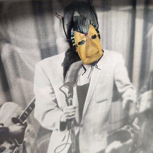 Elvis Man-faced Stink Bug (catacanthus Incarnatus) - Etsy