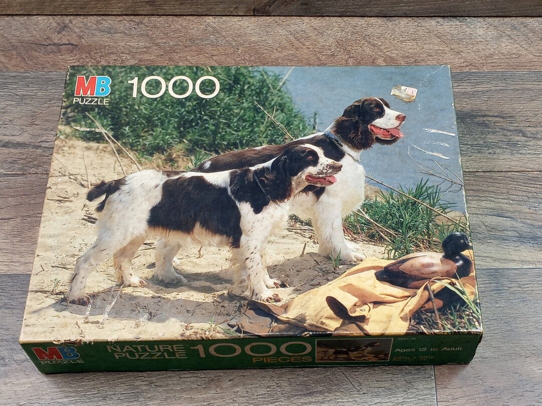 Factory Sealed English Springer Spaniel Dogs Hunting Duck 1000 - Etsy