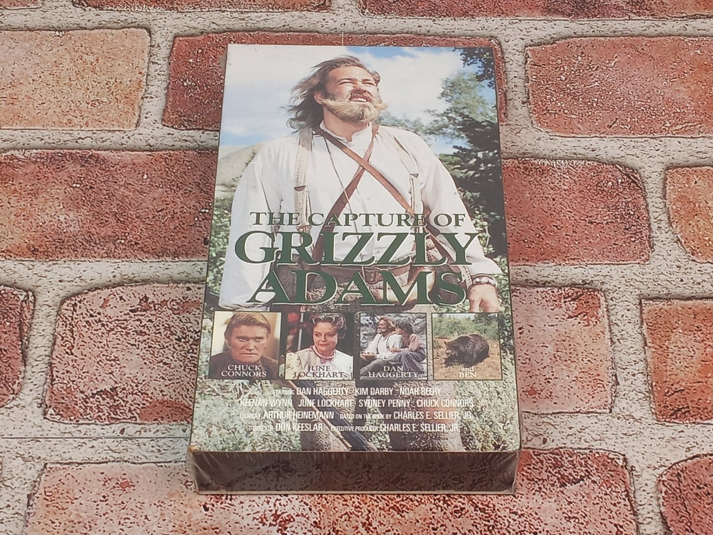 The Capture of Grizzly Adams VHS Chuck Connors Dan Haggerty New ...