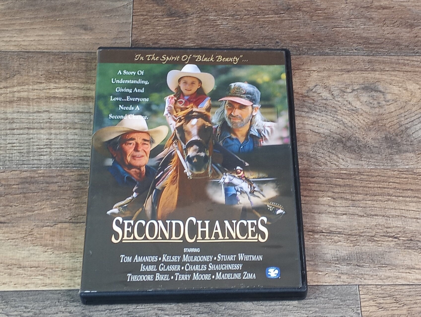 Kelsey Mulrooney Second Chances