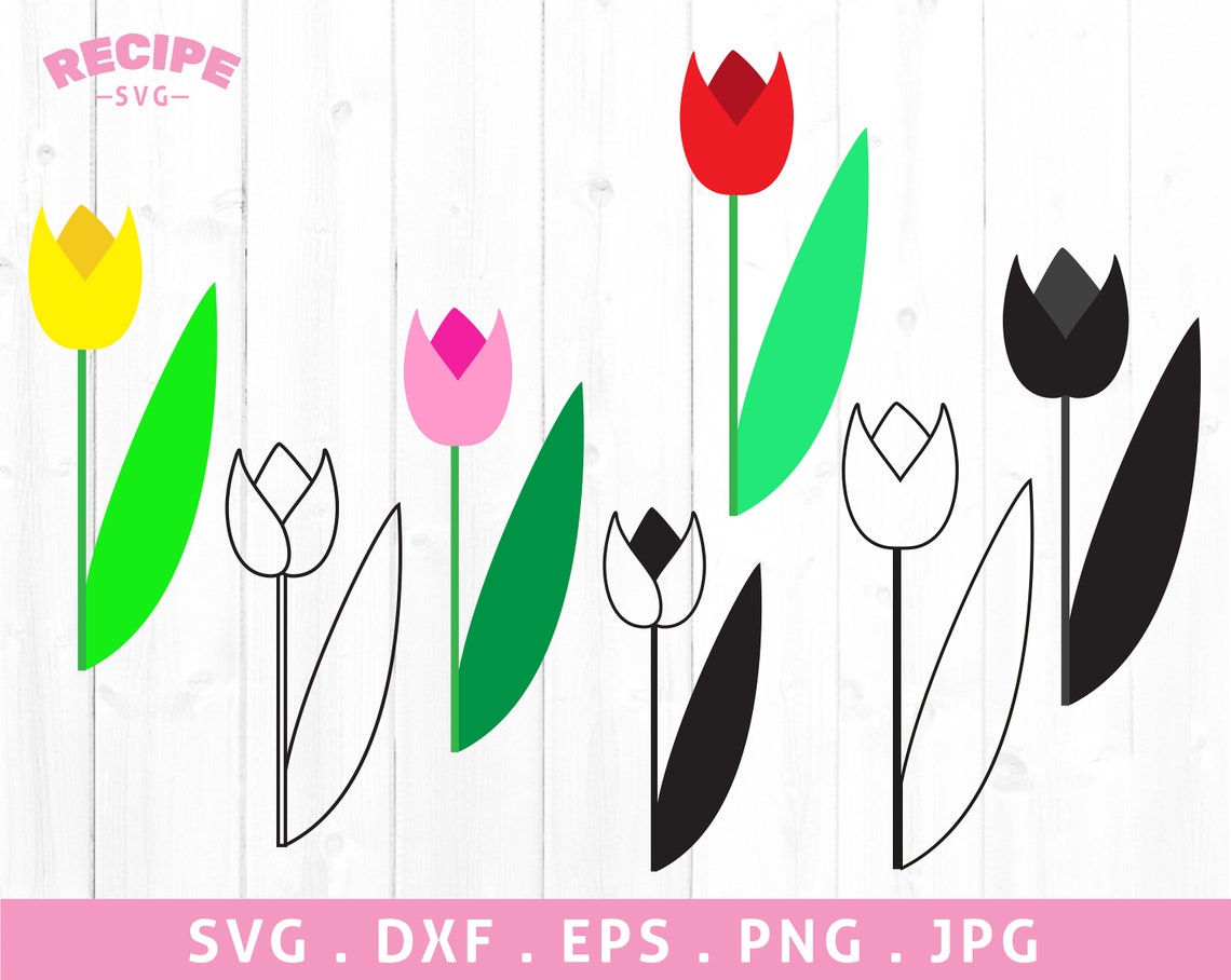 Tulip Svg Flowers Svg spring Svg Tulips Floral Flowers Svg | Etsy