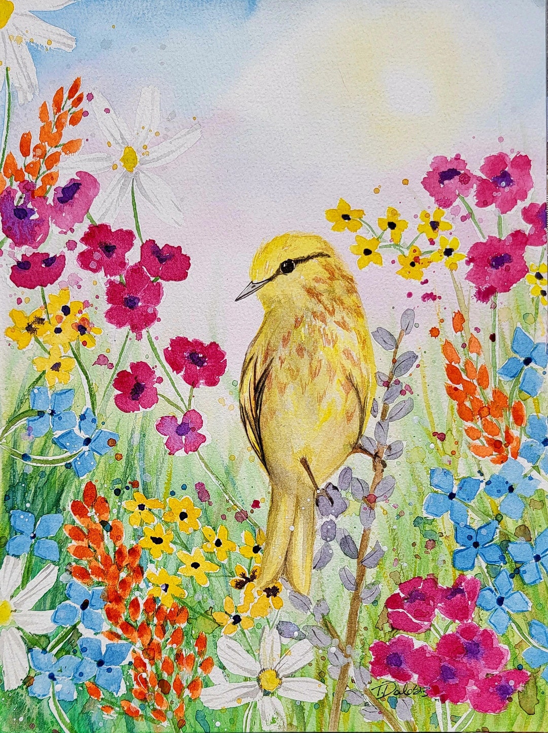 Yellow Warbler With Wildflowers - Watercolor ORIGINAL - Etsy